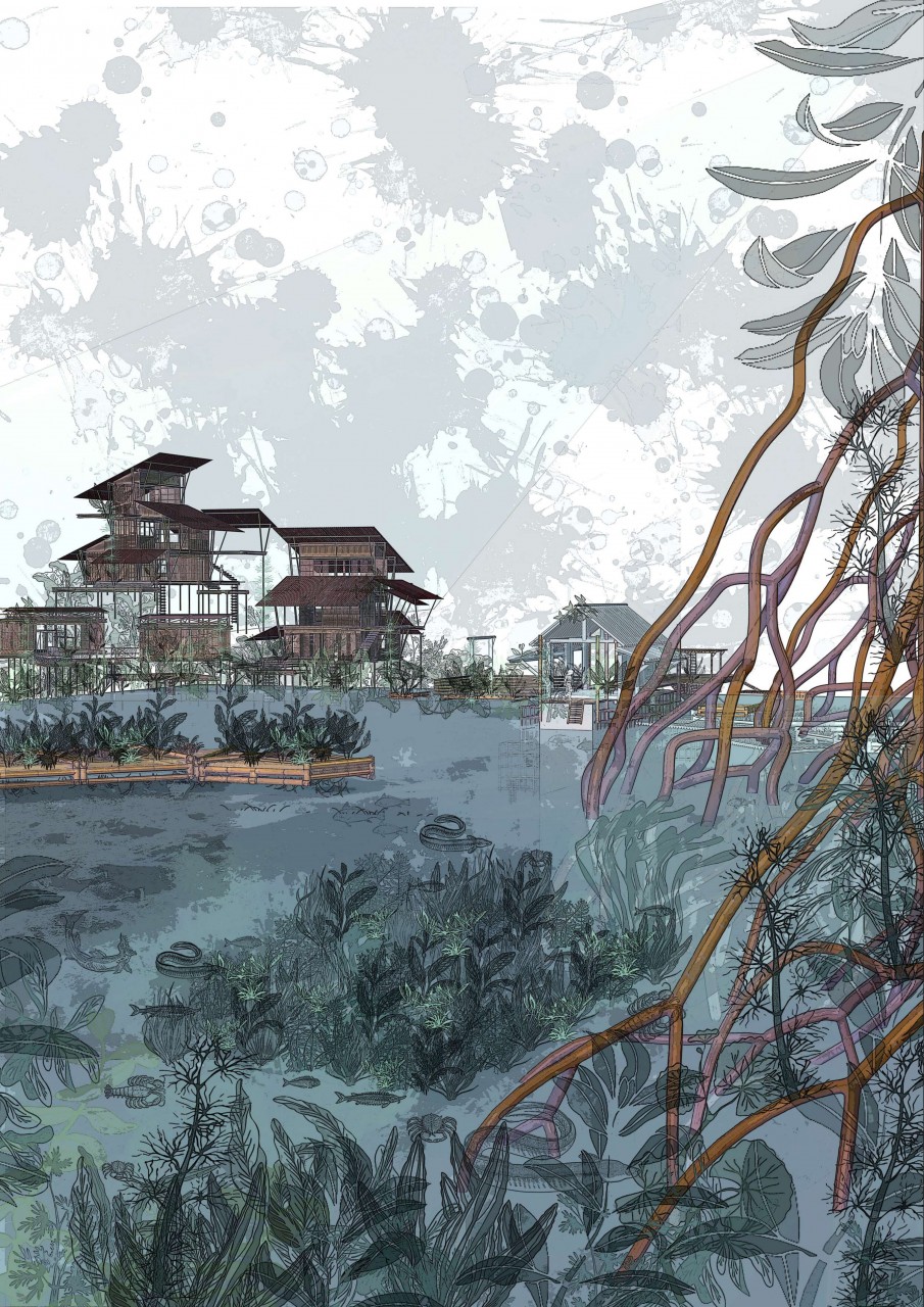 Evolving Symbiosiss - Architectural Design Archive by DPA