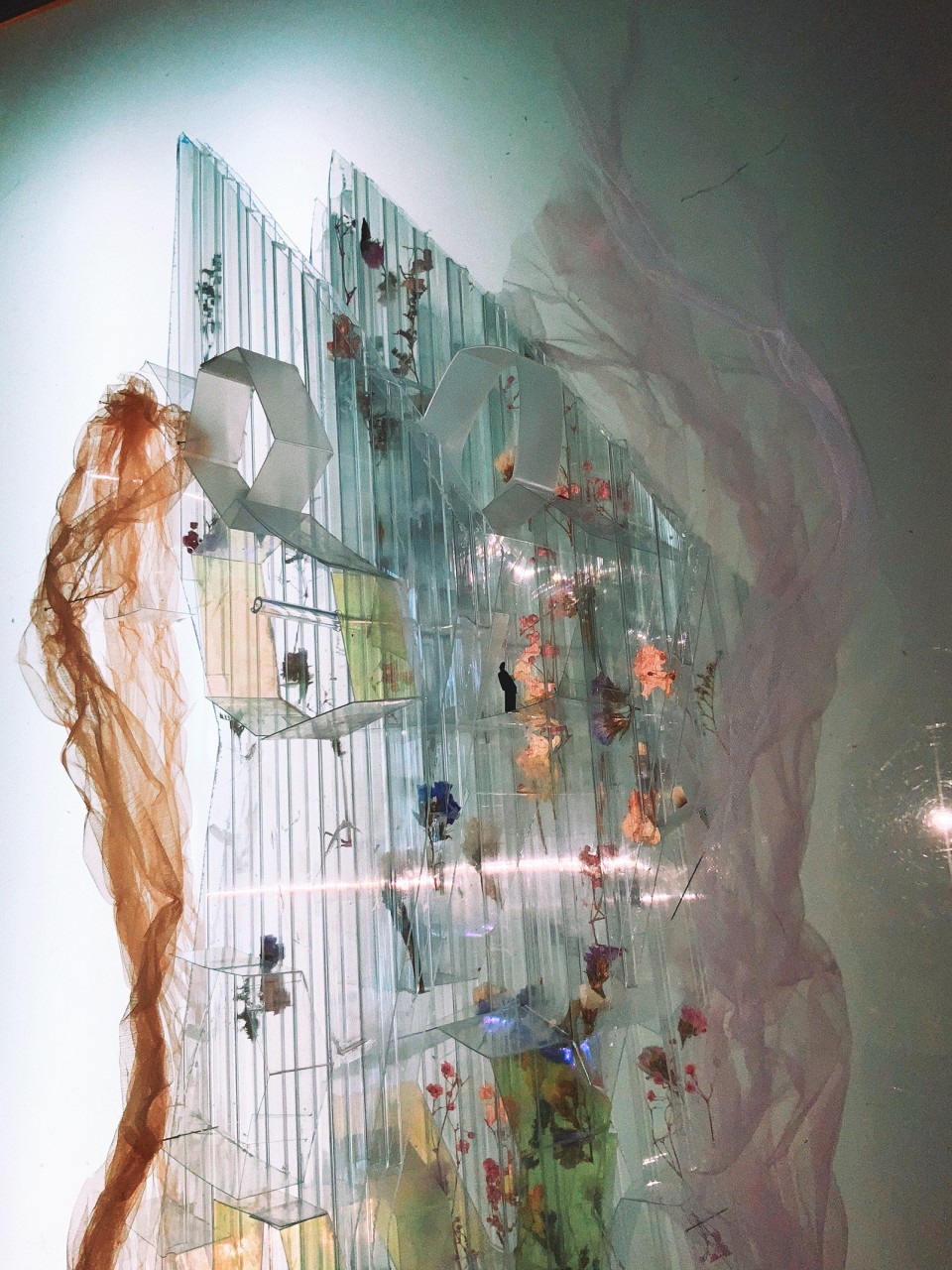 see-through living - Architectural Design Archive by DPA