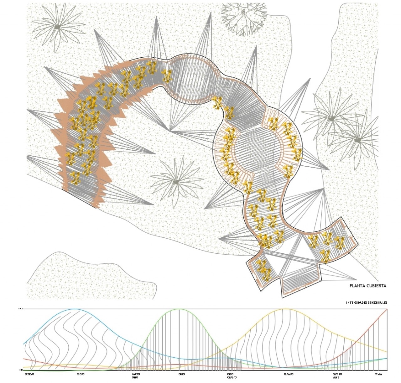 SENSORY RHYTHMS - Architectural Design Archive by DPA