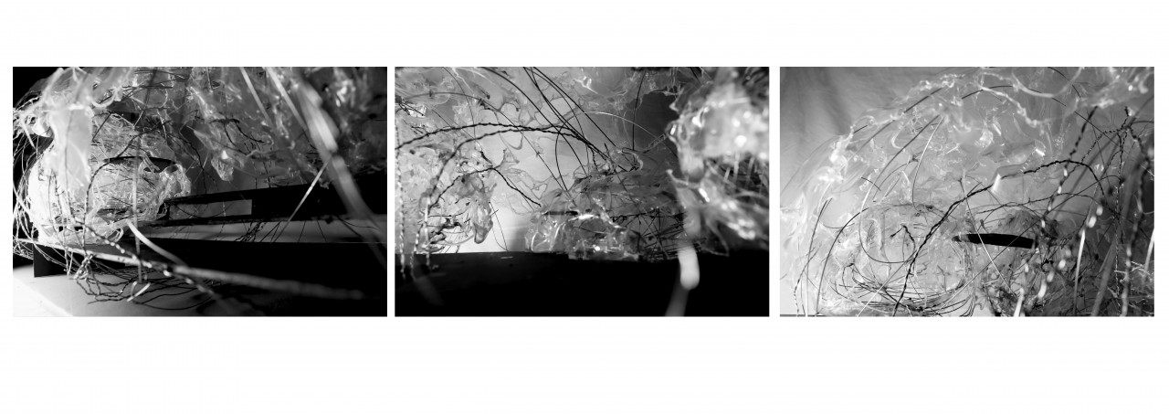 SYNESTHESIA - Architectural Design Archive by DPA