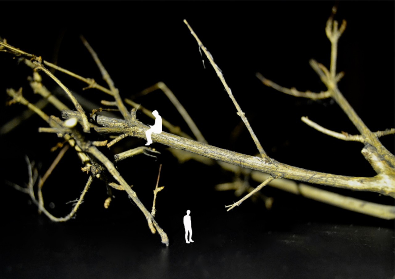 HOLLOW - Architectural Design Archive by DPA