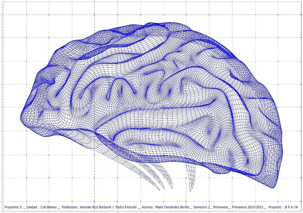 Brain - Architectural Design Archive by DPA