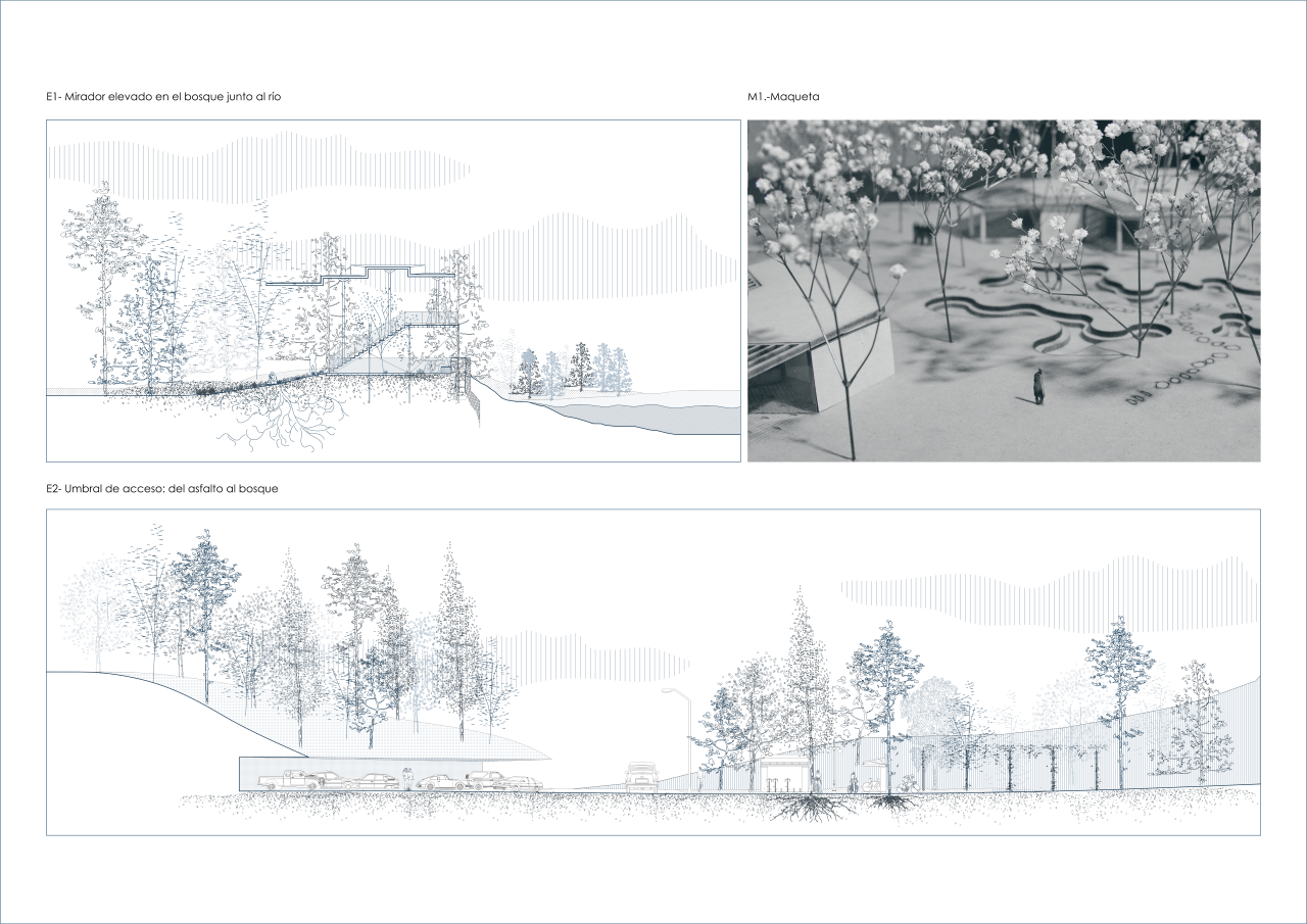 Among Trees - Architectural Design Archive by DPA